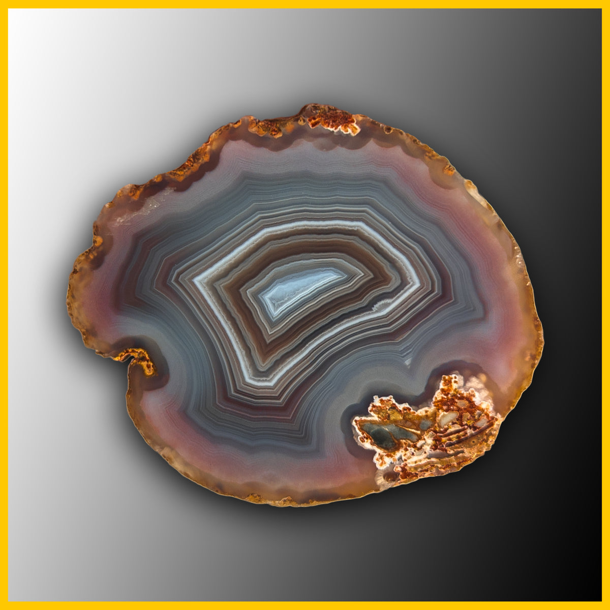 SWZ218jr Swazi Agate Specimen| The Gem Shop, Inc.