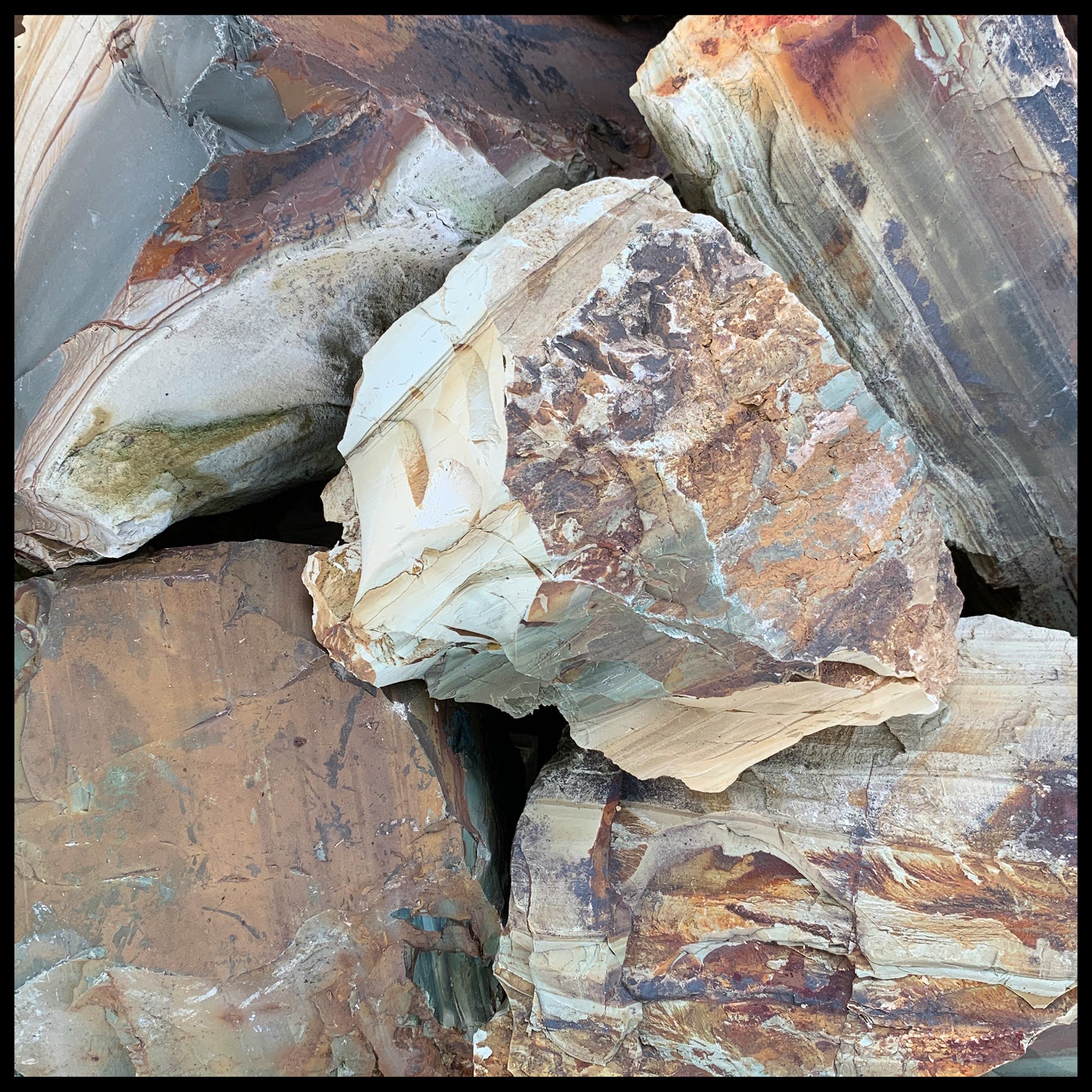 Cripple Creek Picture Jasper, Rough Rock, per lb| The Gem Shop, Inc.