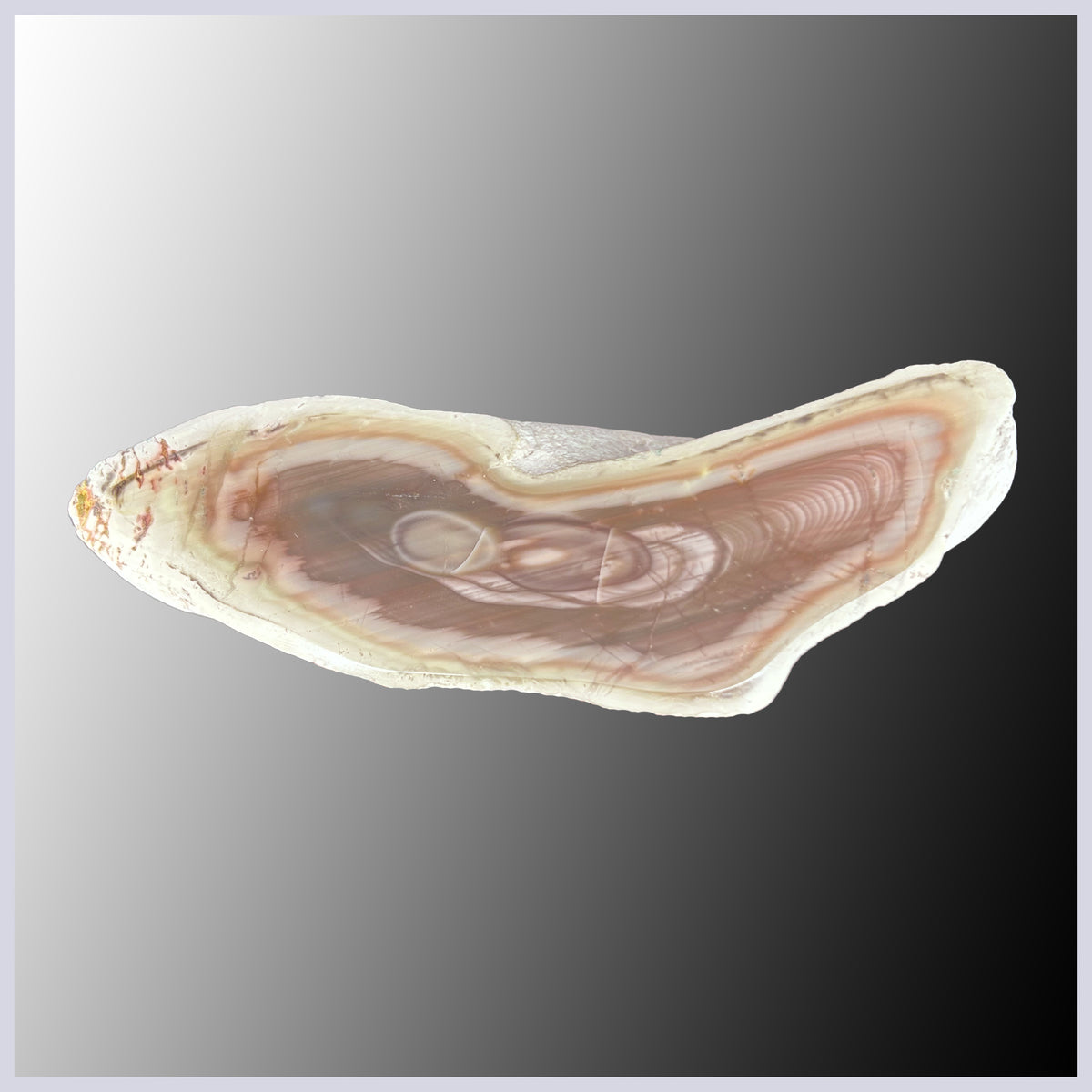 IMP519 Royal Imperial Jasper Specimen| The Gem Shop, Inc.