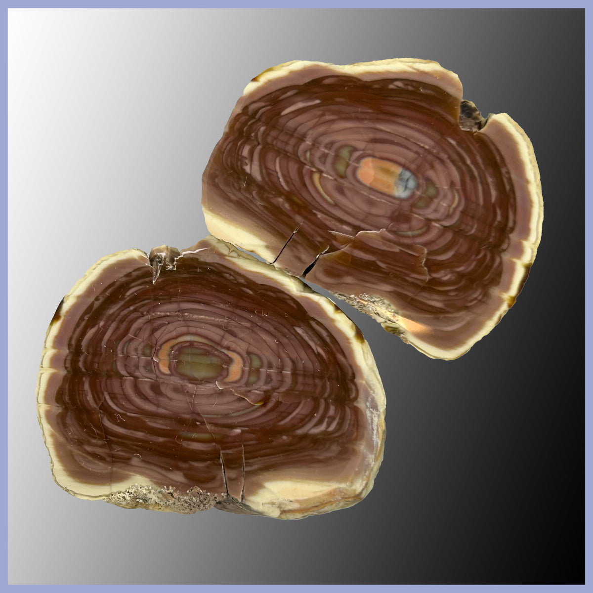 IMP498pr Royal Imperial Jasper Specimen Pair| The Gem Shop, Inc.