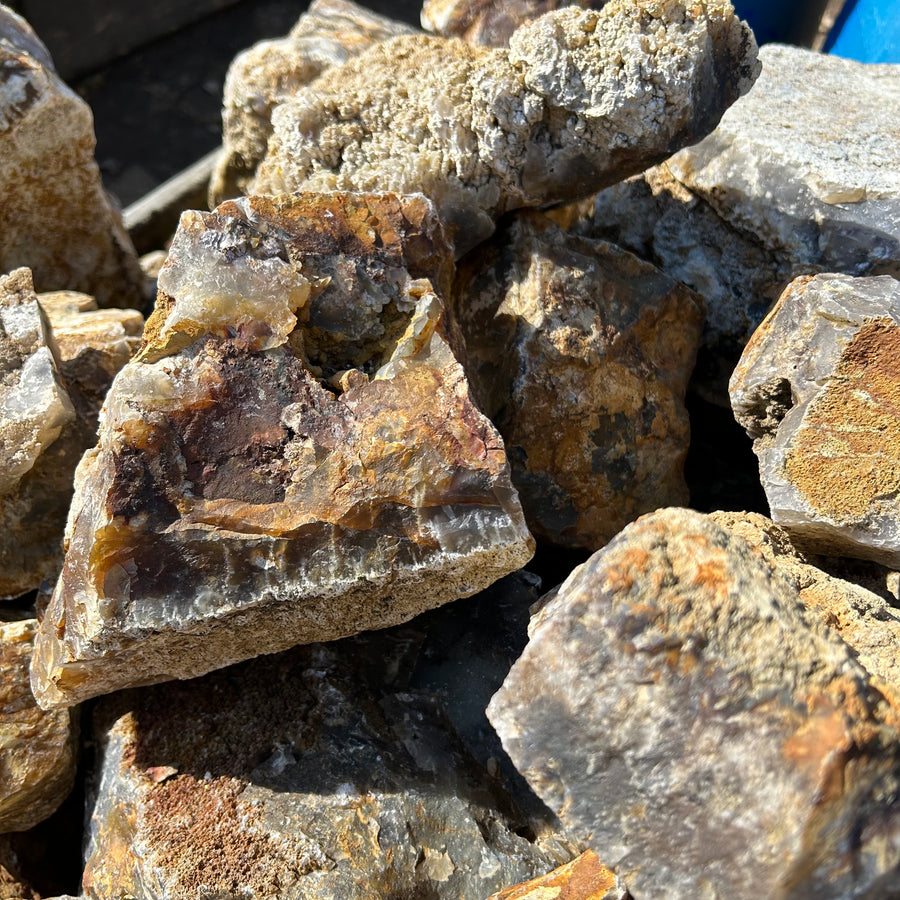 Graveyard Point Plume Agate, Classic, Rough Rock, per lb| The Gem Shop ...