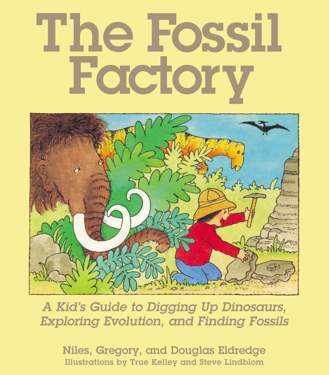 The Fossil Factory| The Gem Shop, Inc.