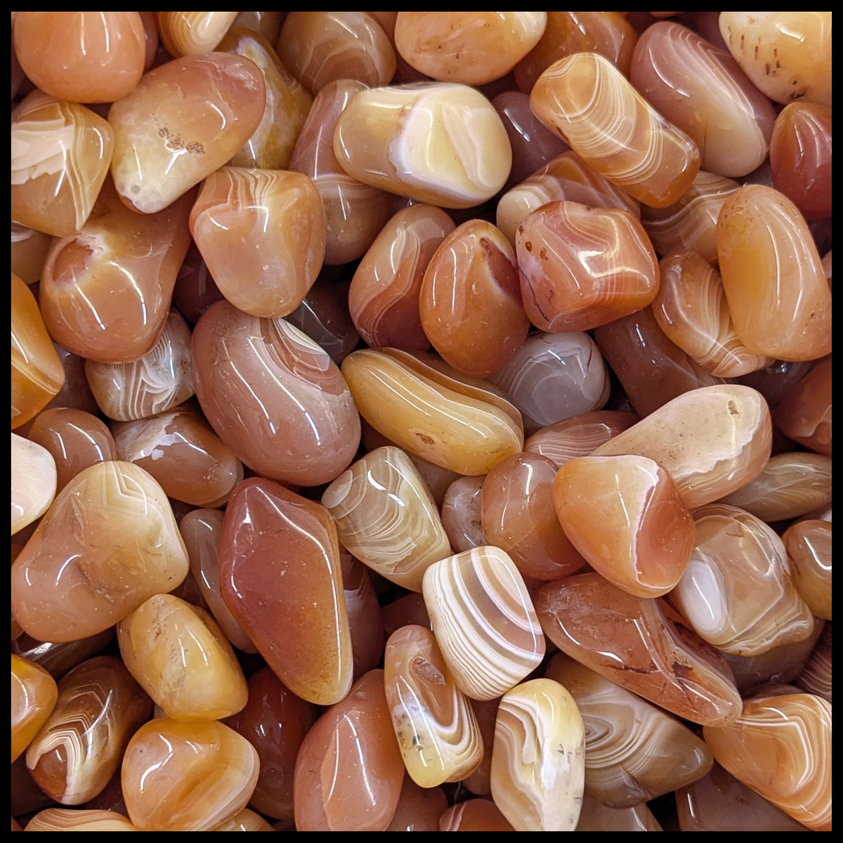 Carnelian Agate, Banded, Tumbled Stone, 1 lb lot| The Gem Shop, Inc.