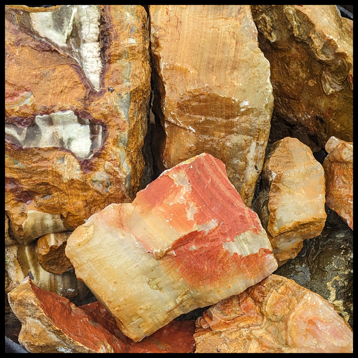 Banded Onyx, Rough Rock, per lb| The Gem Shop, Inc.