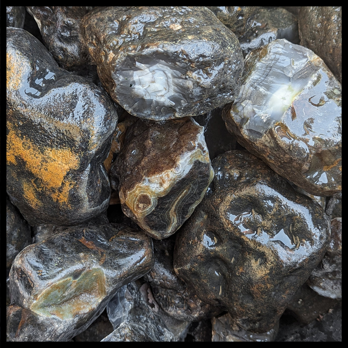 Rough Rock| The Gem Shop, Inc.