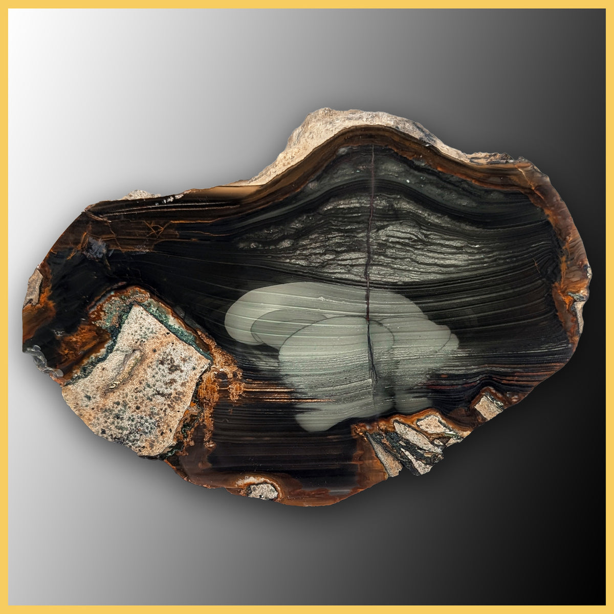 BLM509tr Blue Mountain Jasper Specimen| The Gem Shop, Inc.
