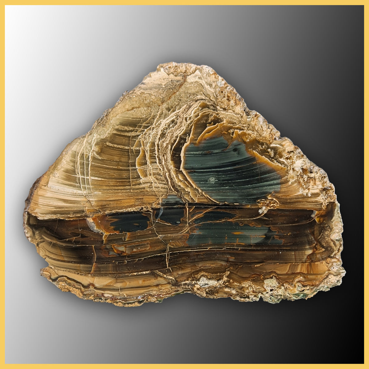 BLM513tr Blue Mountain Jasper Specimen| The Gem Shop, Inc.