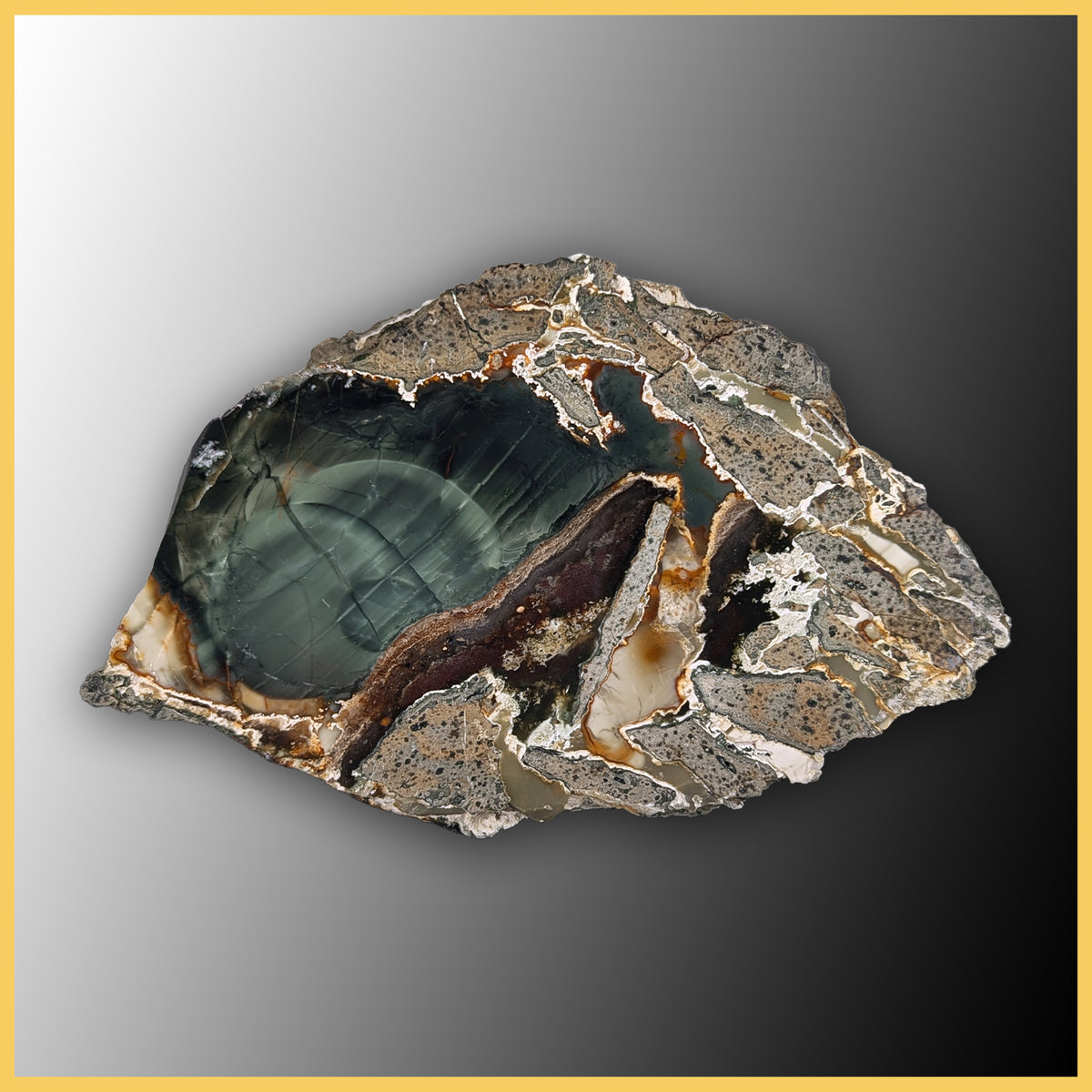 BLM518tr Blue Mountain Jasper Specimen| The Gem Shop, Inc.