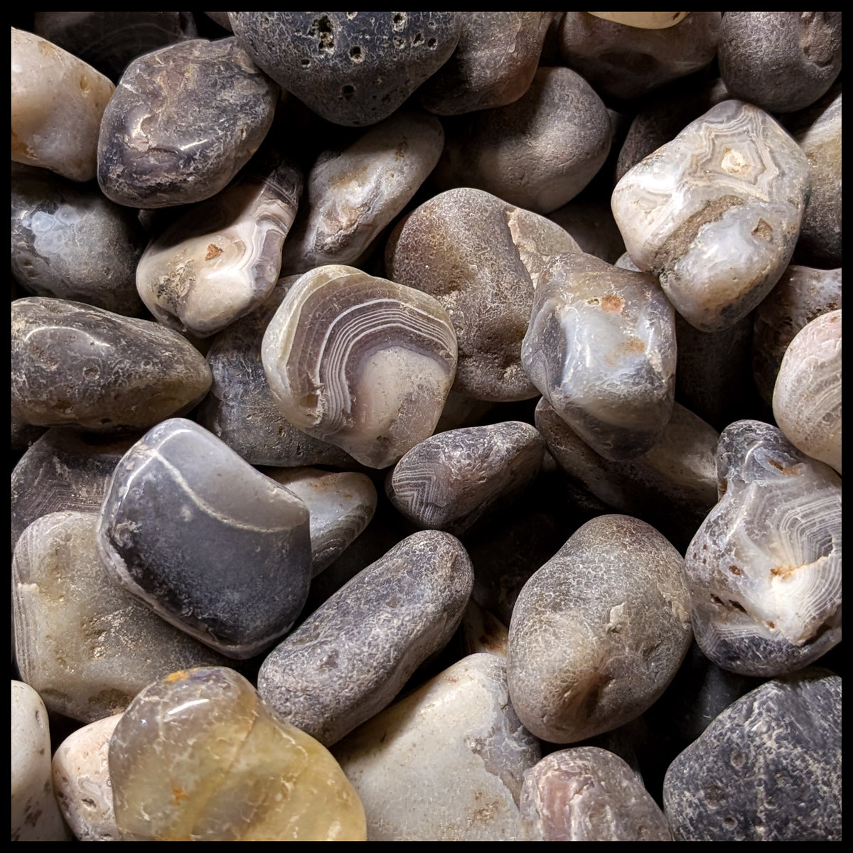 Botswana Agate, Tumbling Rough, per lb| The Gem Shop, Inc.