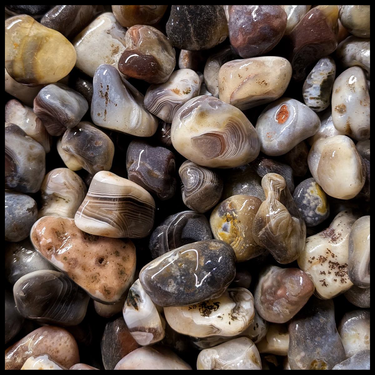 Botswana Agate, Tumbling Rough, per lb| The Gem Shop, Inc.