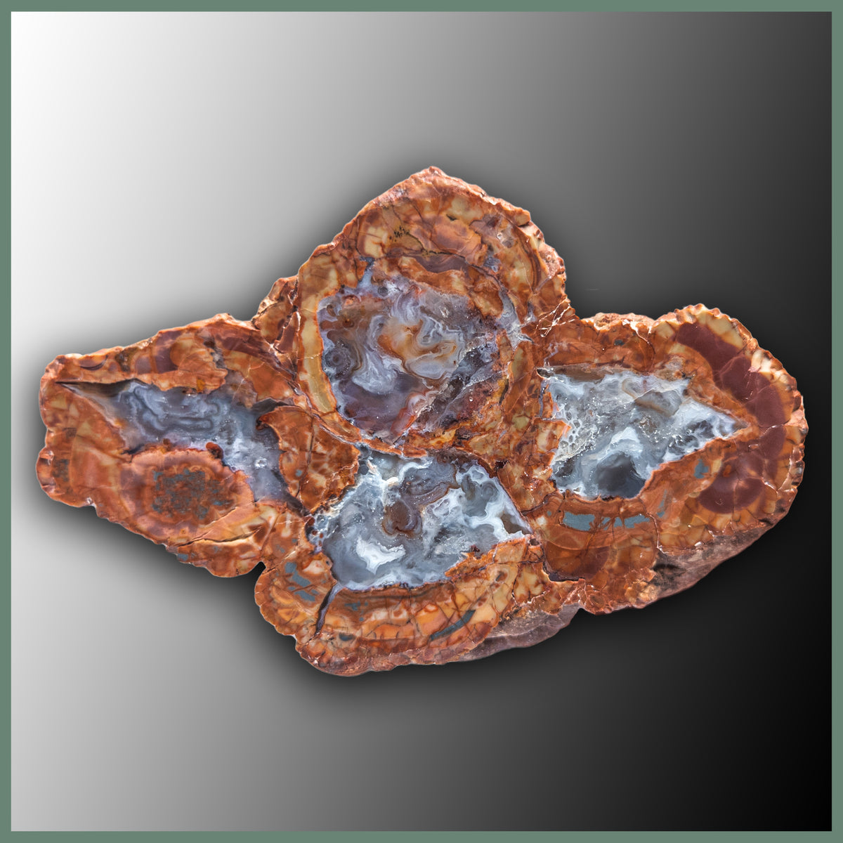 TGS Specimens| Cold Mountain Thunderegg| The Gem Shop, Inc.