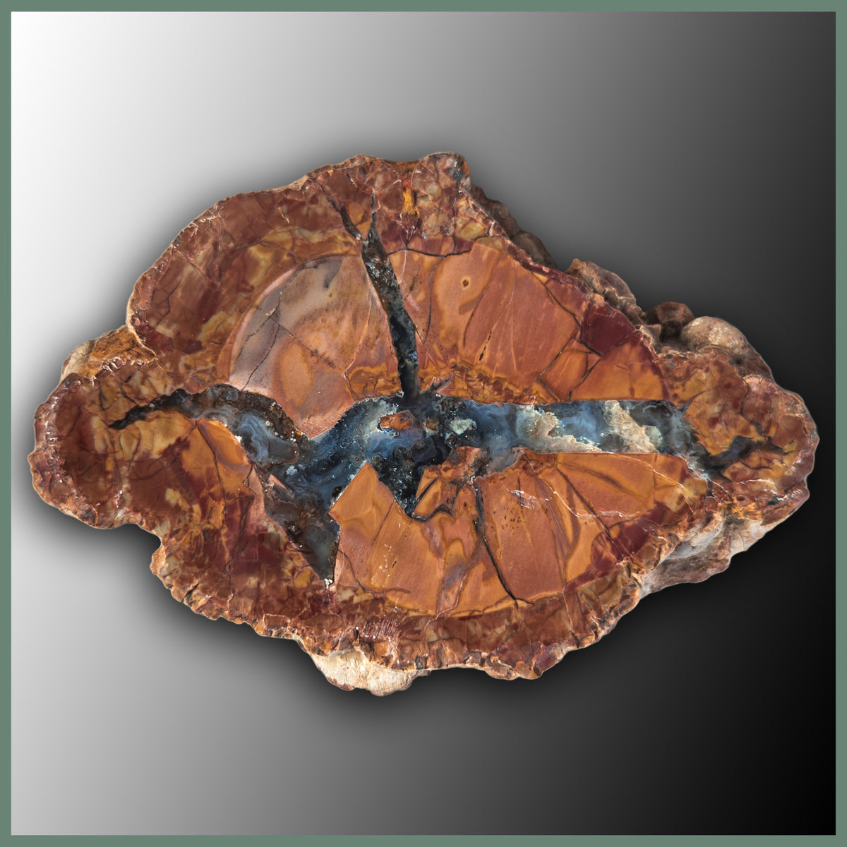 Specimens| Cold Mountain Thunderegg| The Gem Shop, Inc.