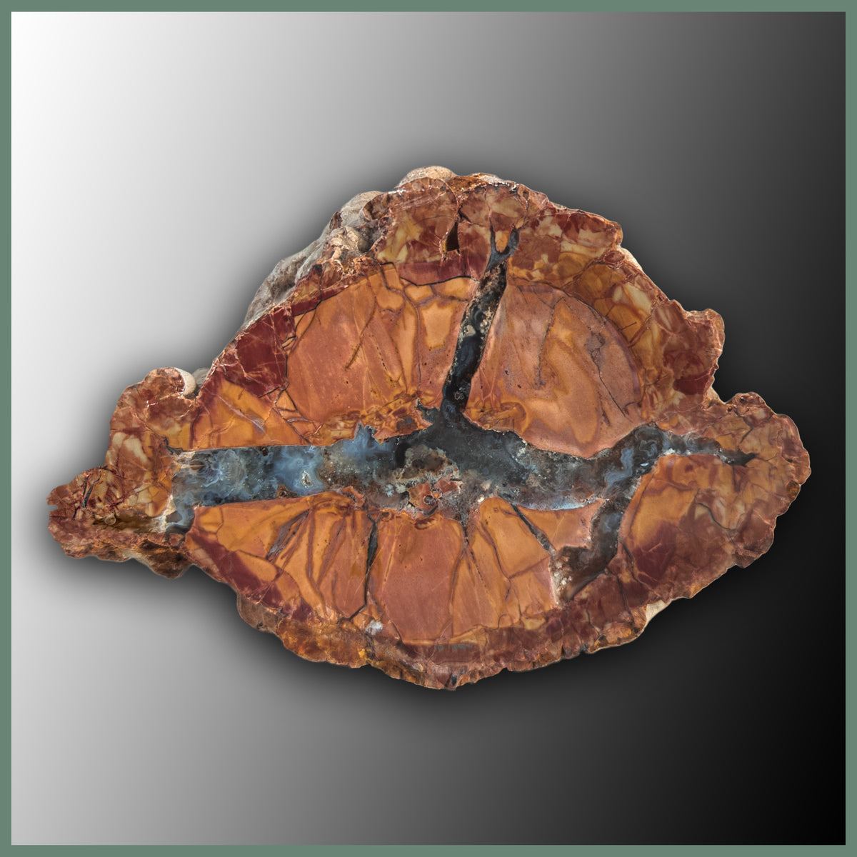 Specimens| Cold Mountain Thunderegg| The Gem Shop, Inc.