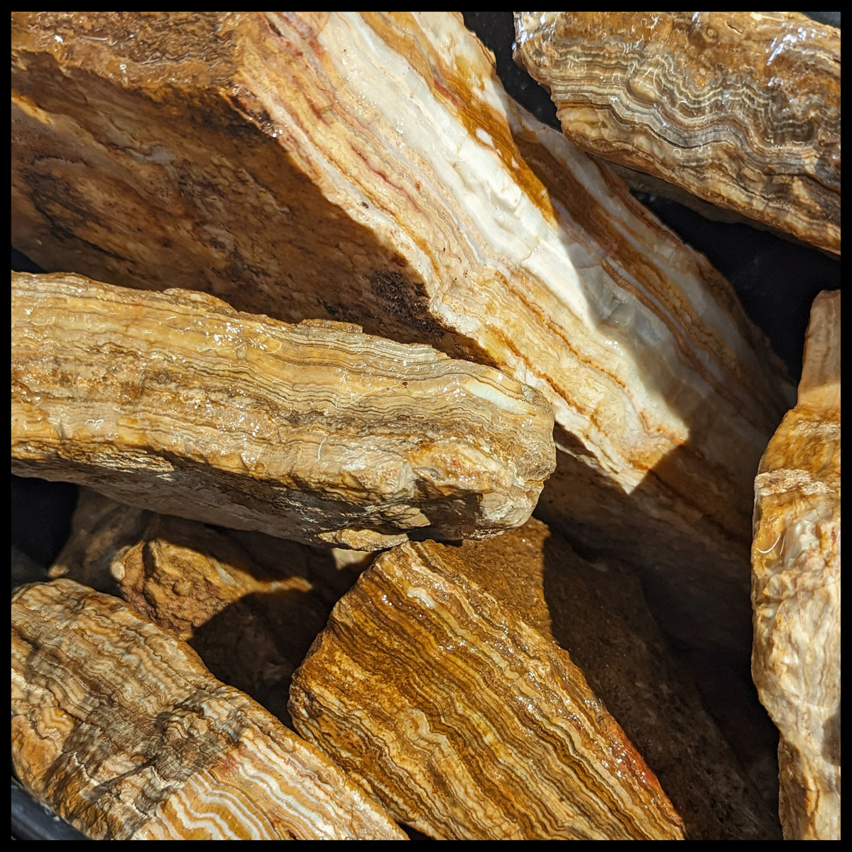 Java Lace Agate, Indonesia, Rough Rock, per lb| The Gem Shop, Inc.