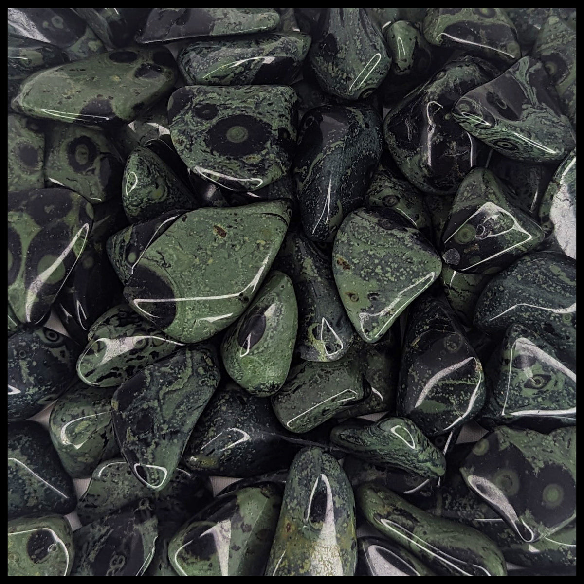 Kambaba Jasper, Tumbled Stone, Individual| The Gem Shop, Inc.