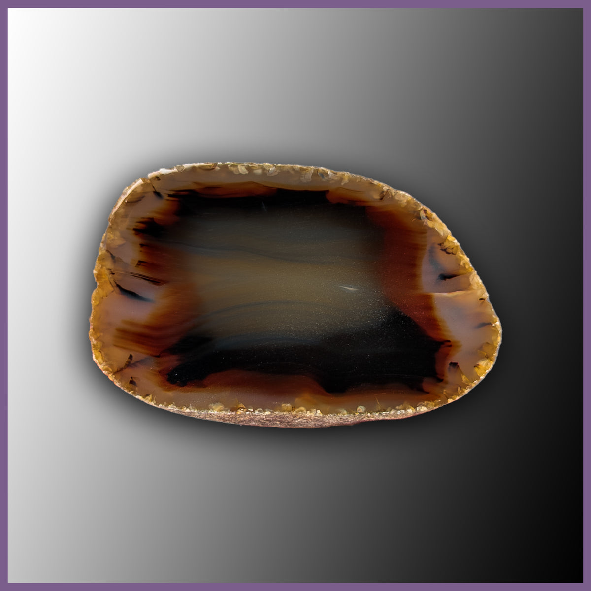 MOM114 Montana Moss Agate Specimen| The Gem Shop, Inc.