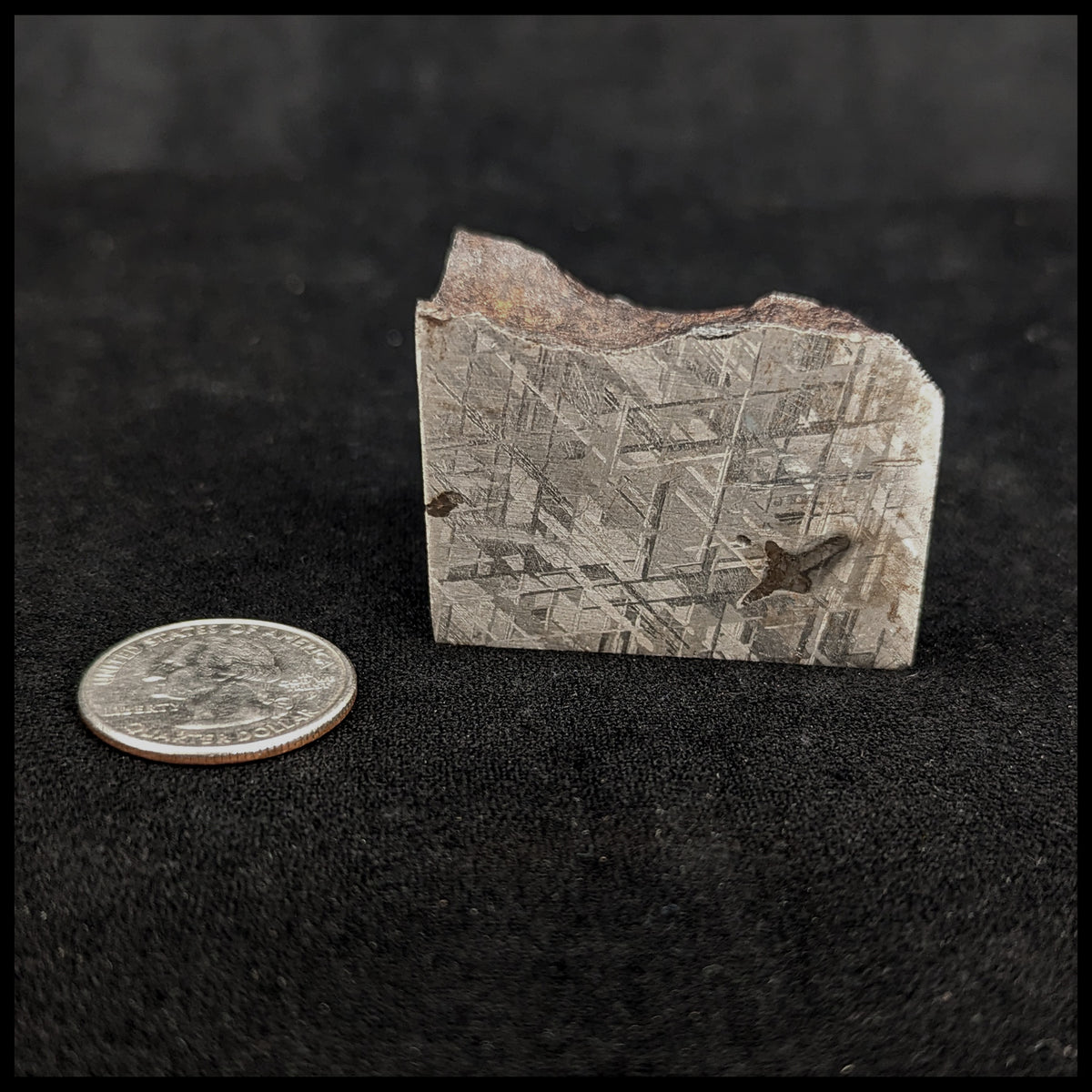 MTR122 Gibeon Meteorite| The Gem Shop, Inc.