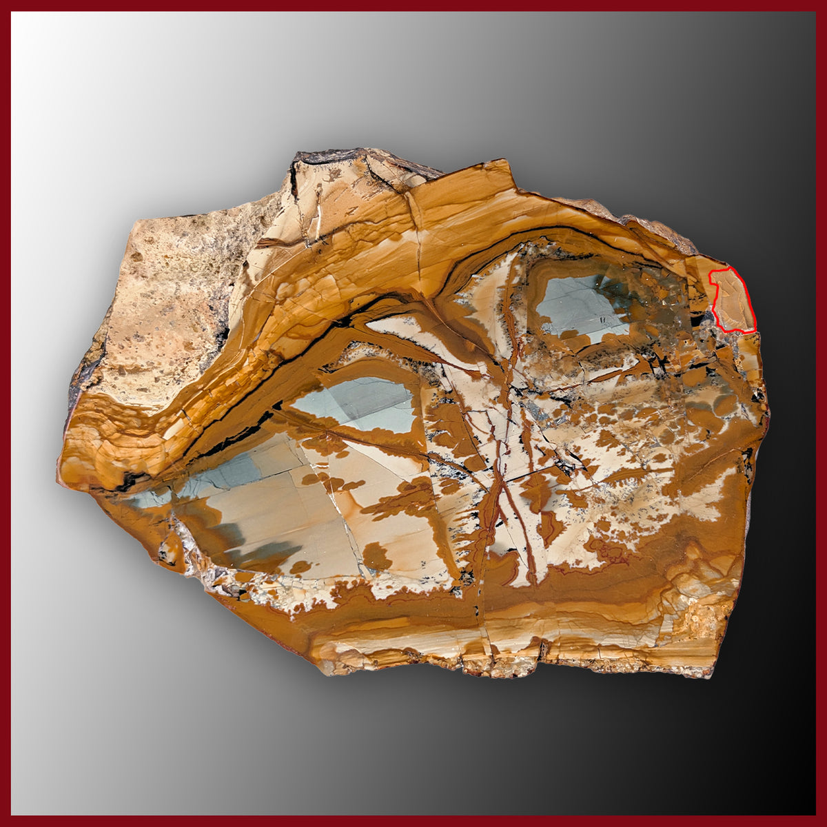 OWY105tr Owyhee Picture Jasper Specimen| The Gem Shop, Inc.