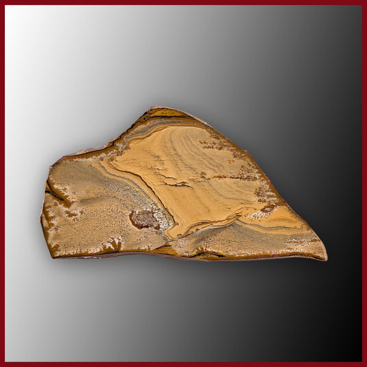 OWY106tr Owyhee Picture Jasper Slab| The Gem Shop, Inc.
