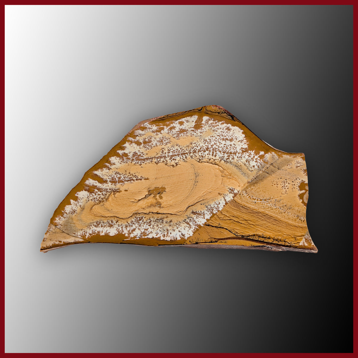 OWY107tr Owyhee Picture Jasper Slab| The Gem Shop, Inc.