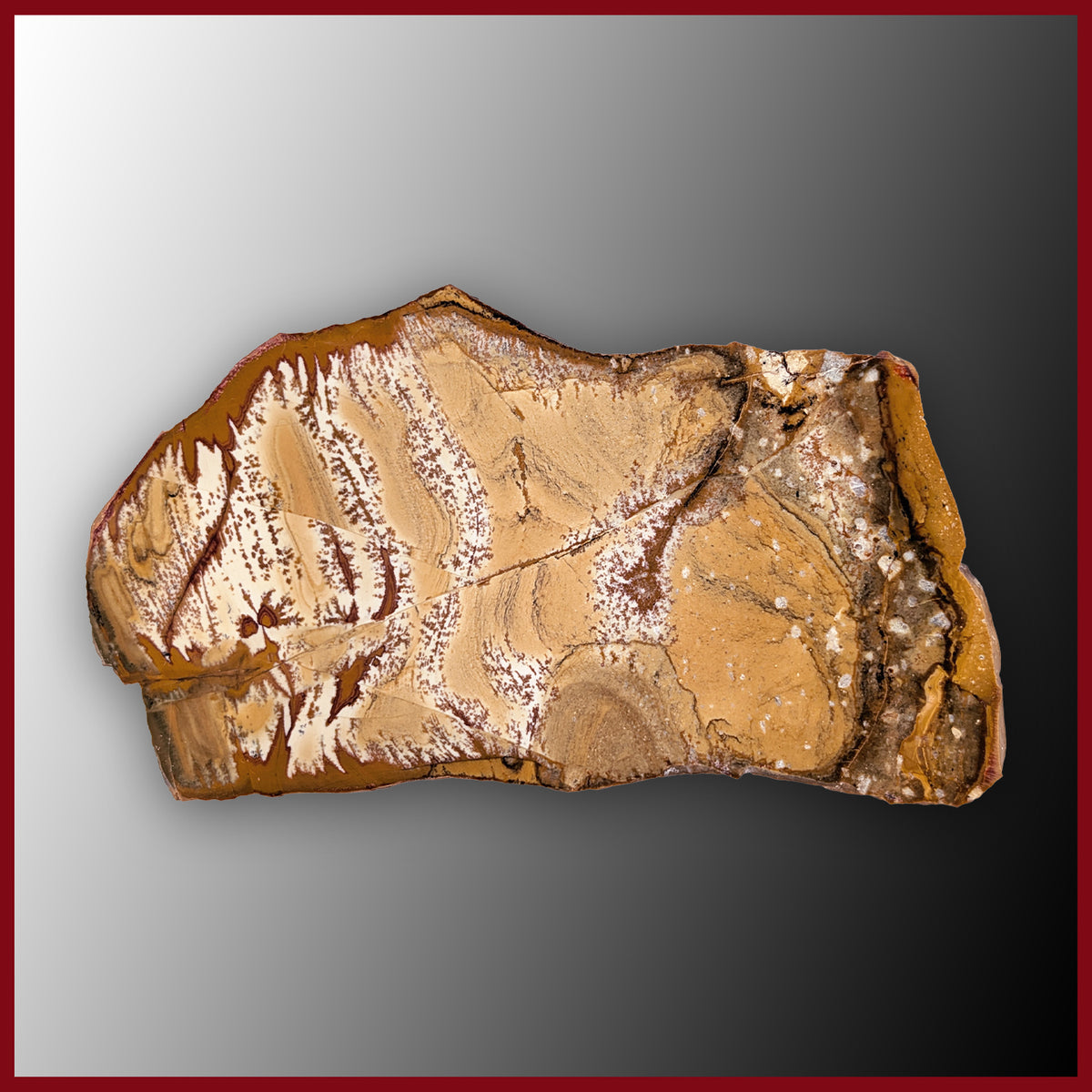 OWY108tr Owyhee Picture Jasper Slab| The Gem Shop, Inc.