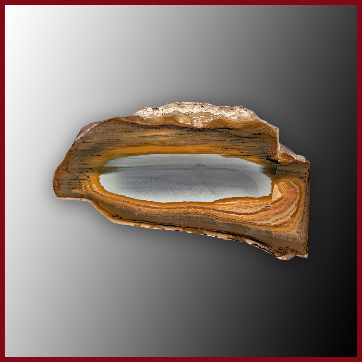 OWY110tr Owyhee Picture Jasper Slab| The Gem Shop, Inc.