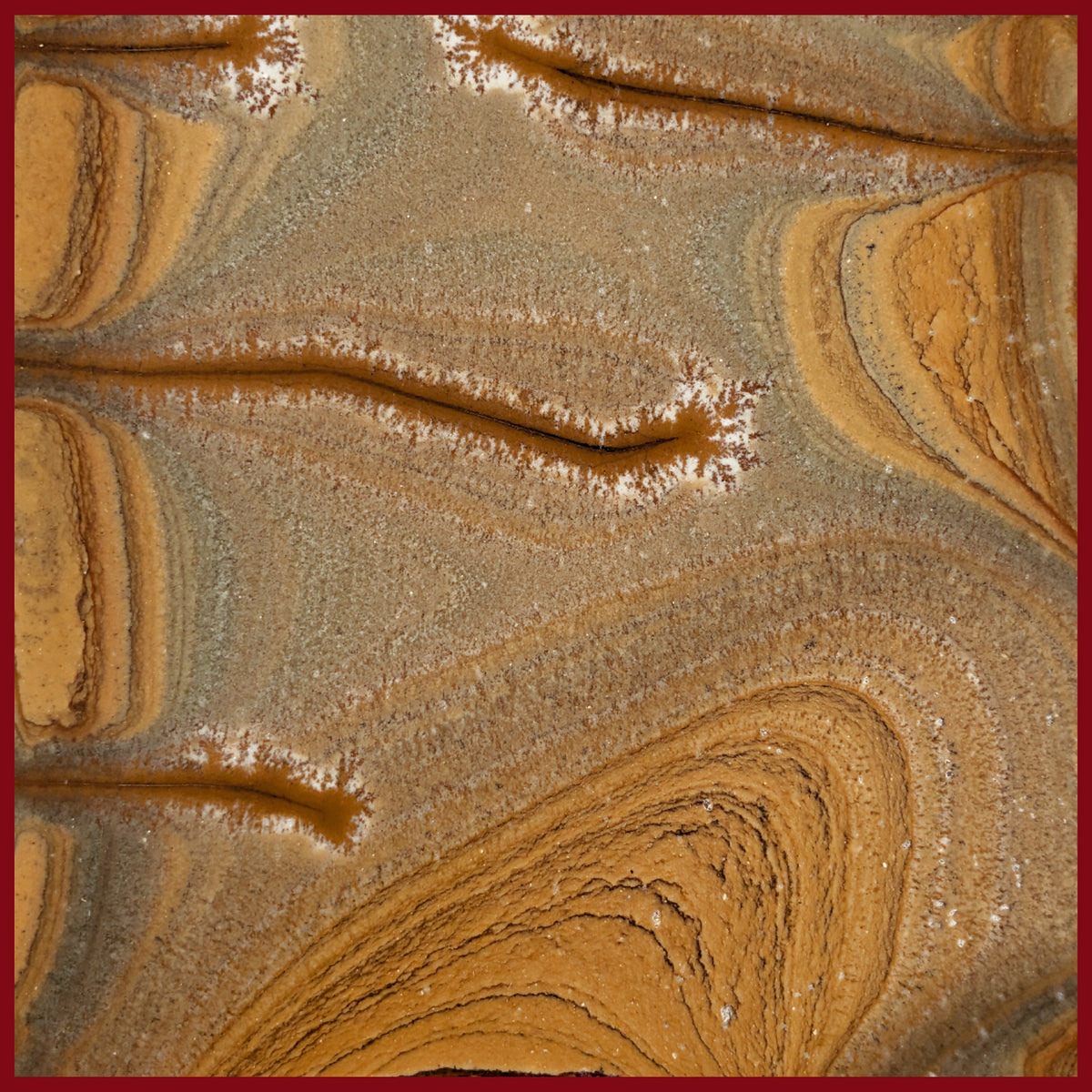 OWY113tr Owyhee Picture Jasper Slab| The Gem Shop, Inc.