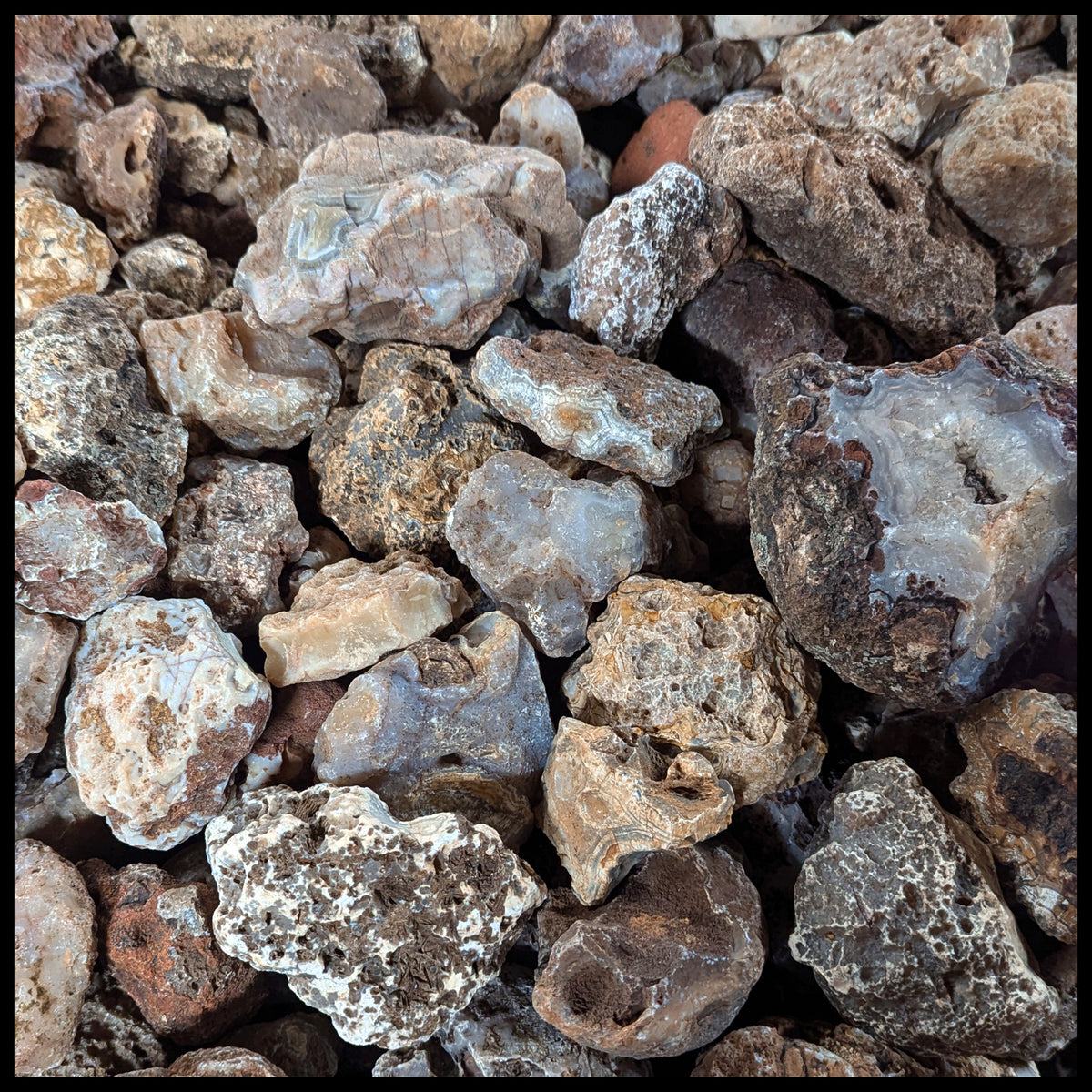 Picacho Agate, Rough Rock, per lb| The Gem Shop, Inc.