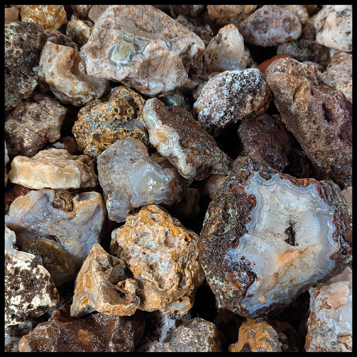 Picacho Agate, Rough Rock, per lb| The Gem Shop, Inc.