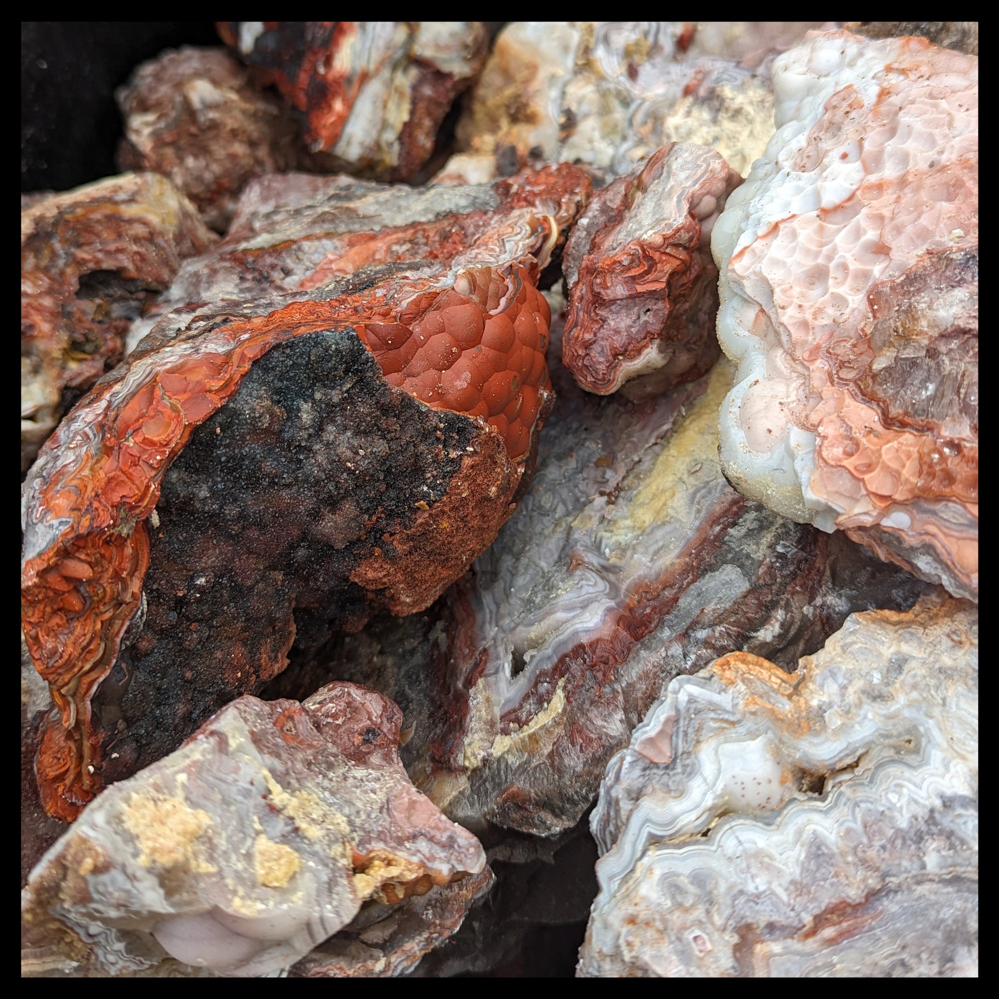 Laguna Lace Agate, Rough Rock, per lb| The Gem Shop, Inc.