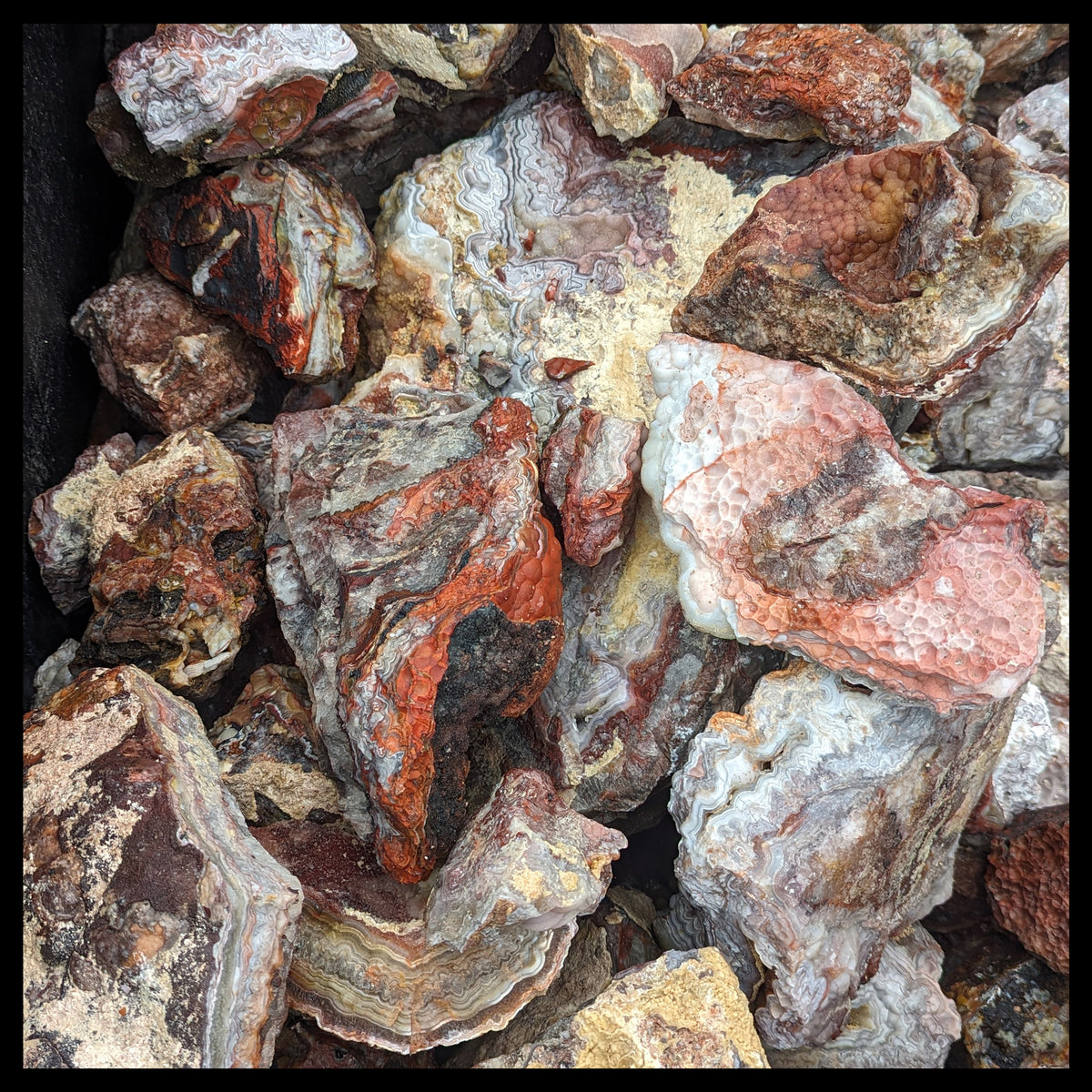 Laguna Lace Agate, Rough Rock, per lb| The Gem Shop, Inc.