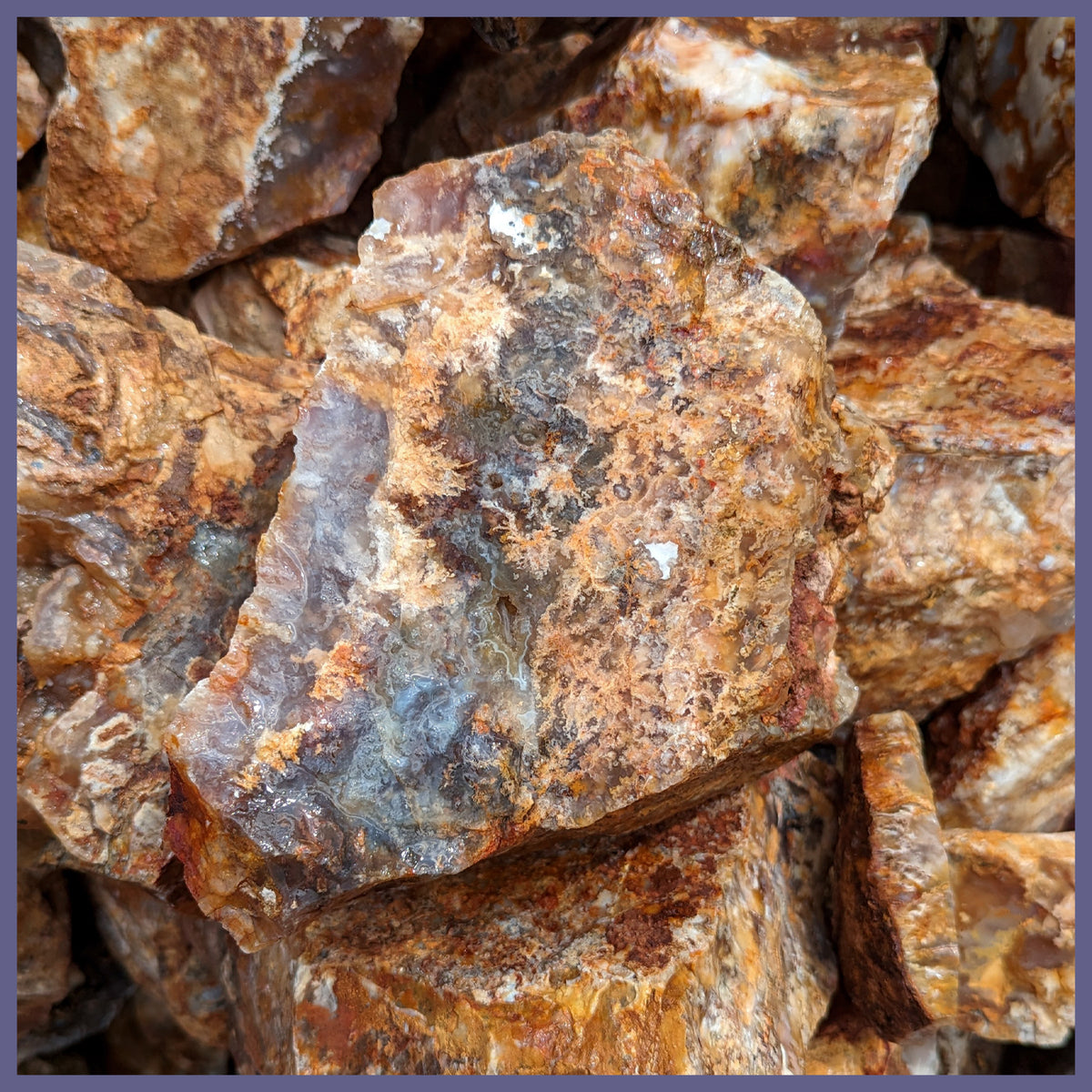 Graveyard Point Plume Agate, Regency Rose, Rough Rock, per lb| The Gem ...