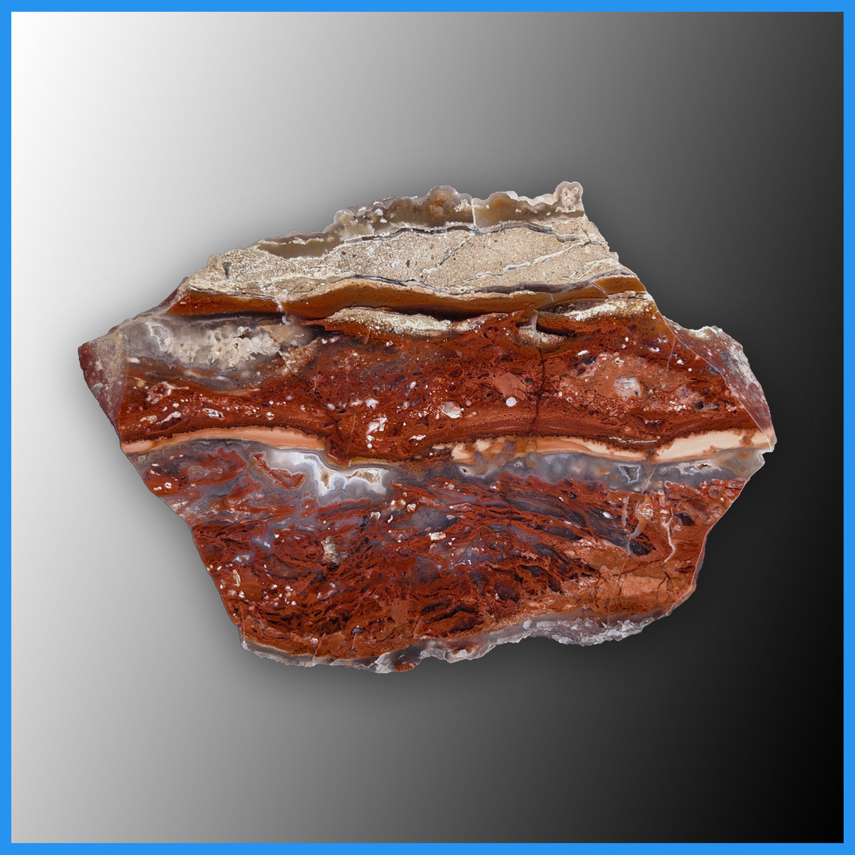 REV117 Red Velvet Agate Specimen| The Gem Shop, Inc.