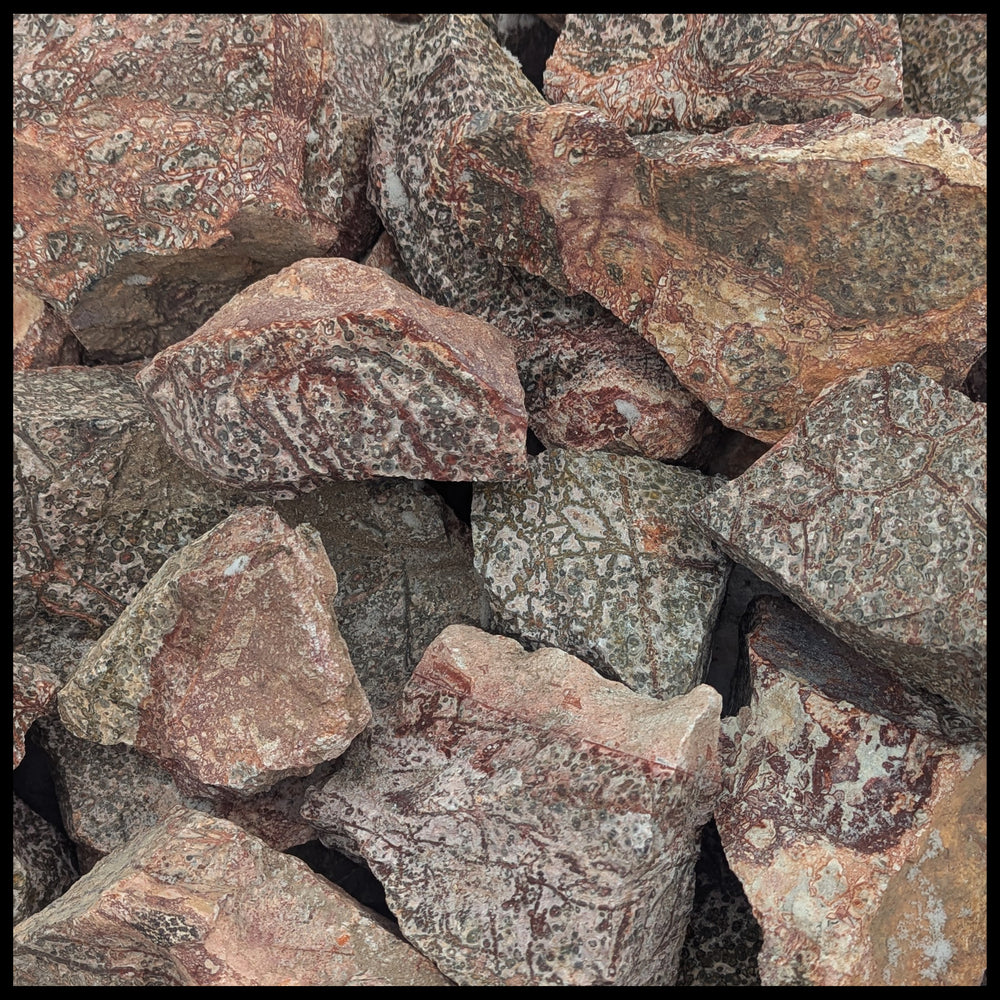 Leopardskin Rhyolite, Rough Rock, per lb| The Gem Shop, Inc.