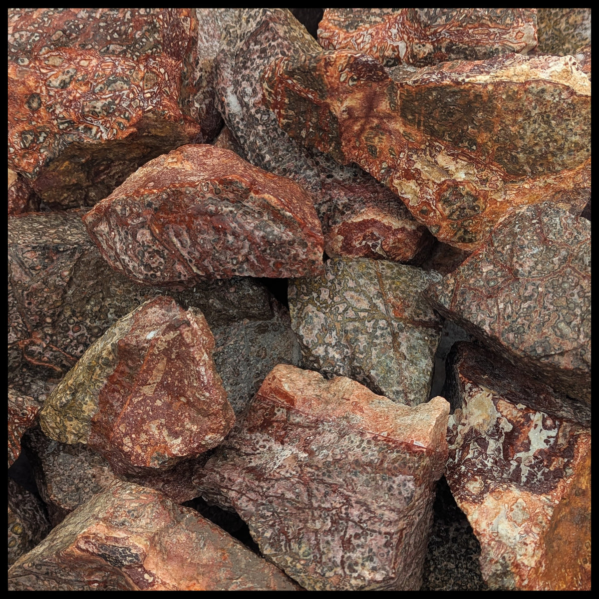 Leopardskin Rhyolite, Rough Rock, per lb| The Gem Shop, Inc.