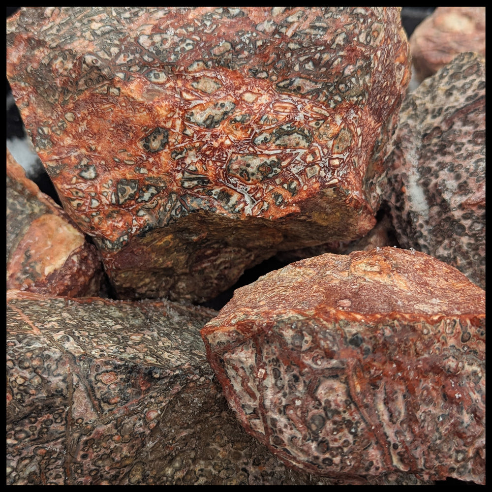 Leopardskin Rhyolite, Rough Rock, per lb| The Gem Shop, Inc.