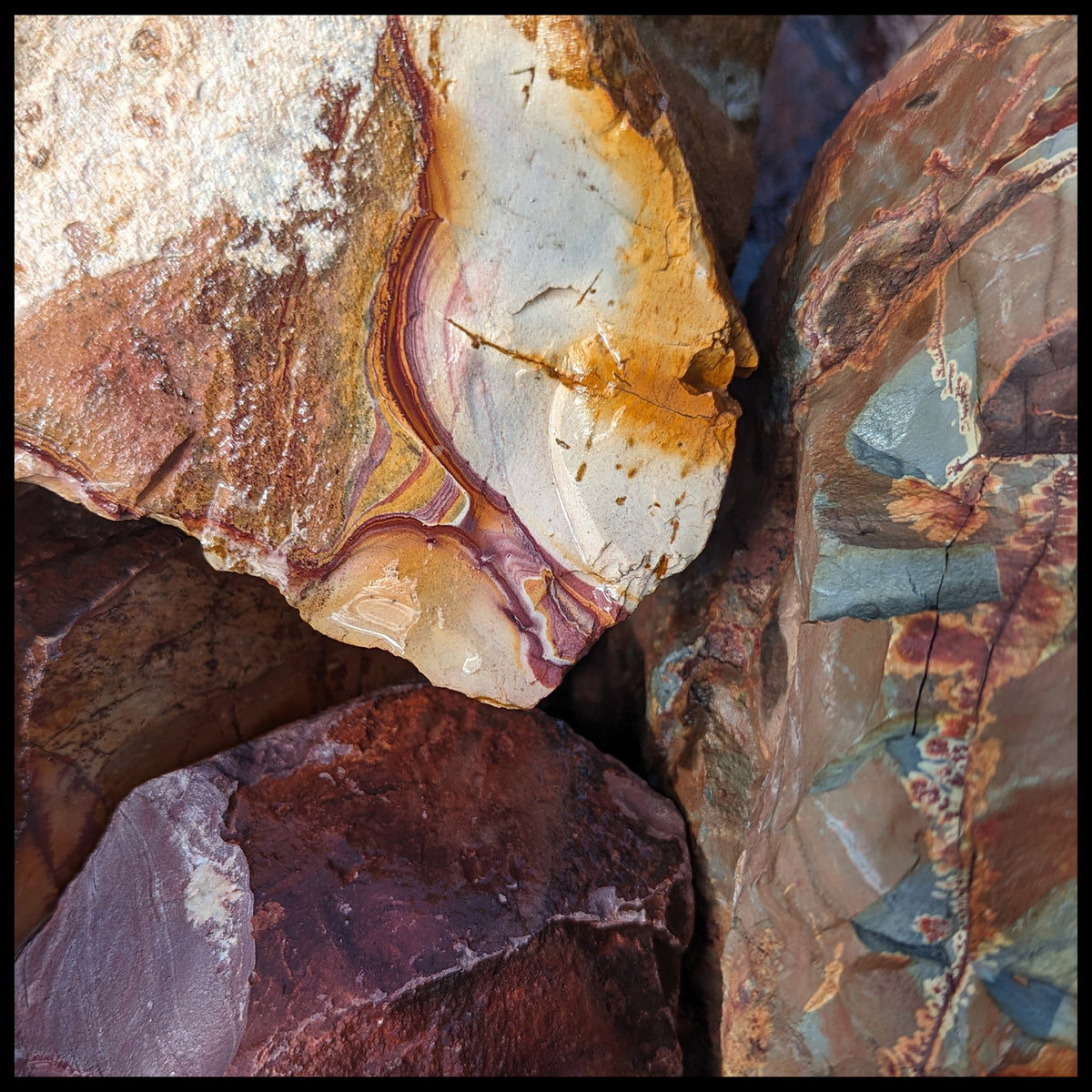 Sonora Dendritic, Rough Rock, per lb| The Gem Shop, Inc.