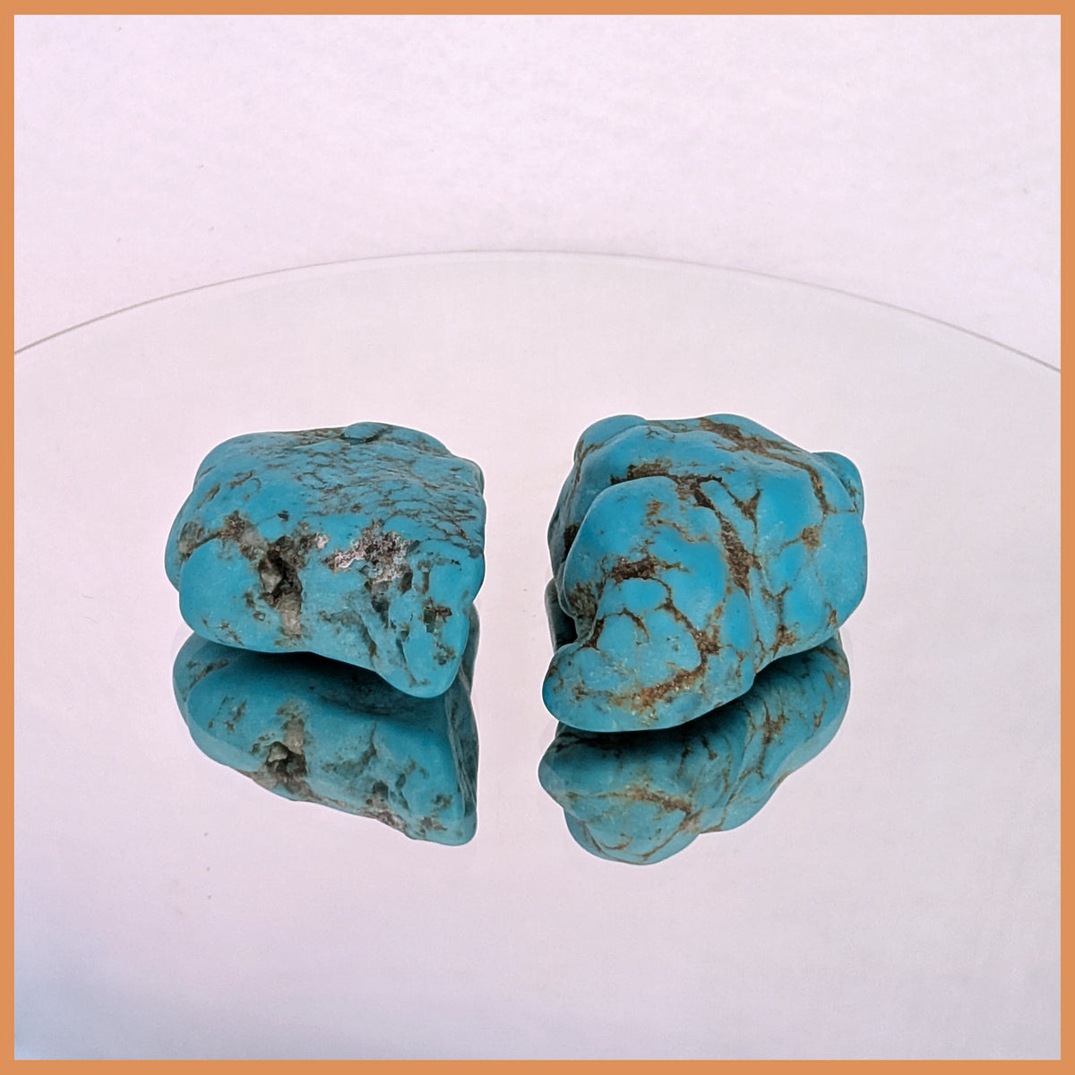 TRQ107 Cananea Turquoise 2pc lot| The Gem Shop, Inc.
