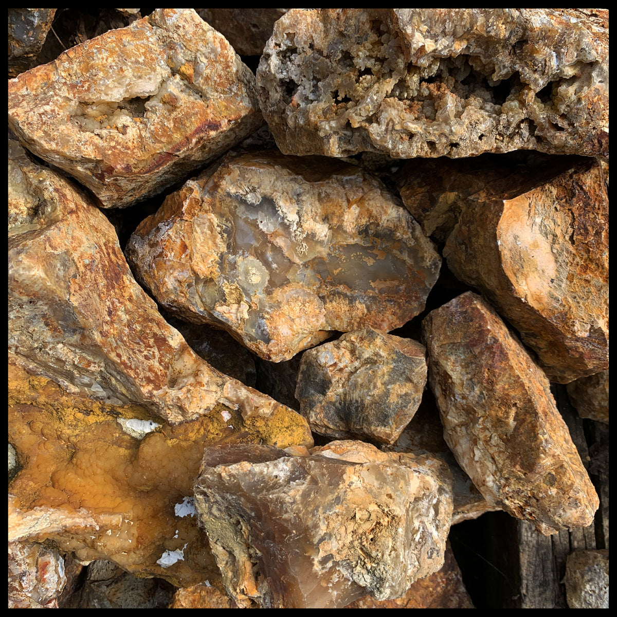 Graveyard Point Plume Agate, Regency Rose, Rough Rock, per lb| The Gem ...