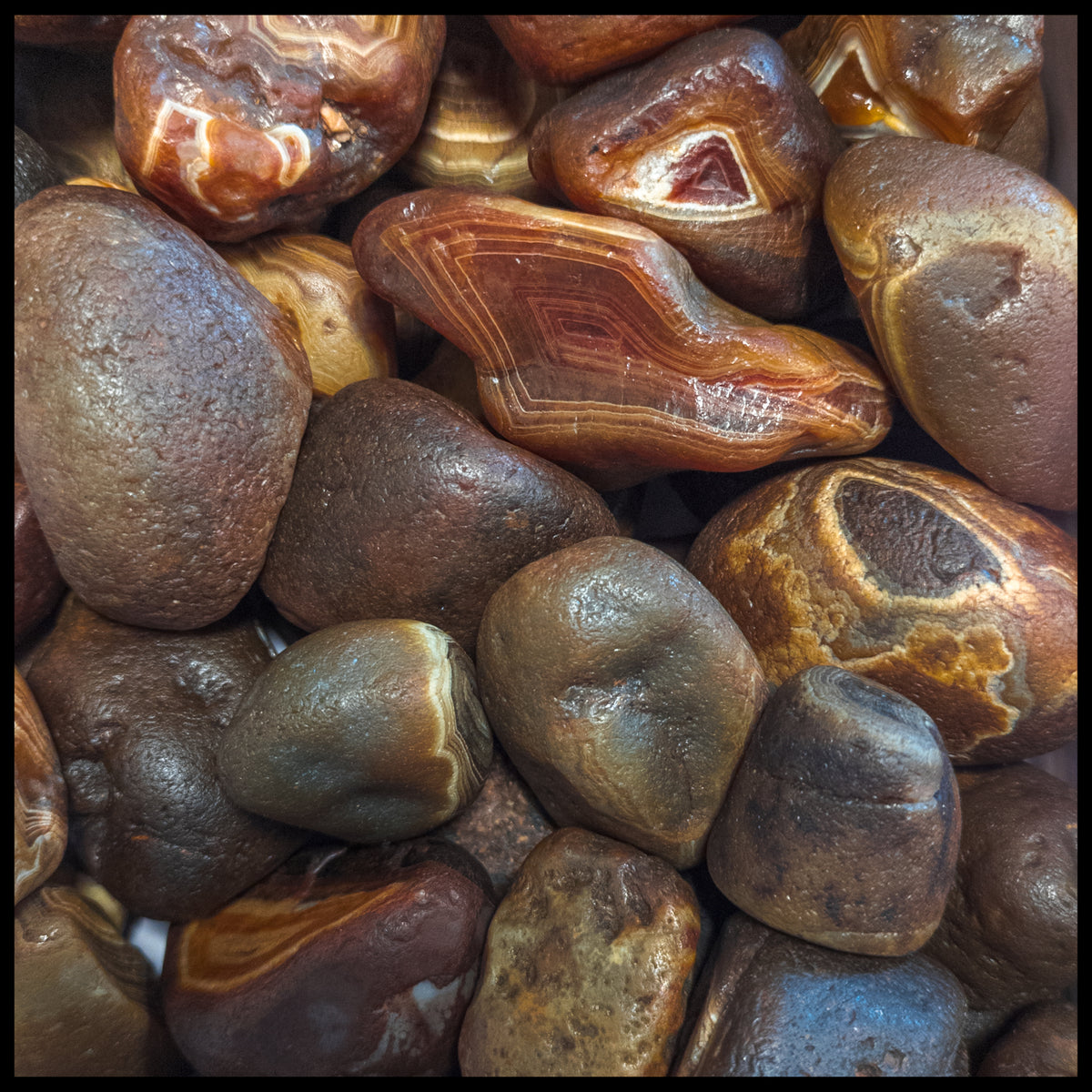 Black River Agate, Rough Rock, per lb| The Gem Shop, Inc.