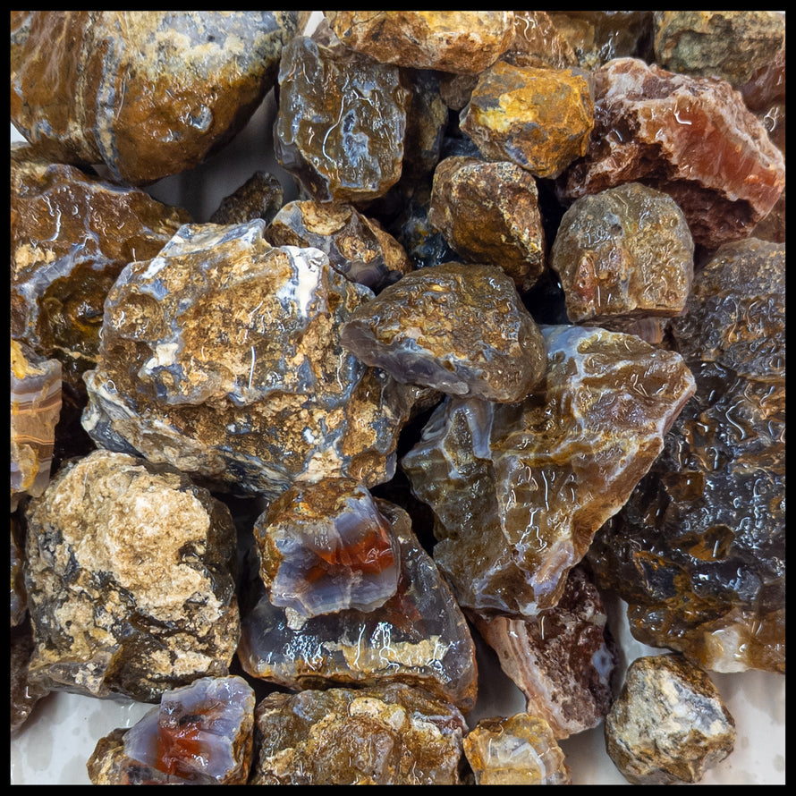 Rough Rock| The Gem Shop, Inc.