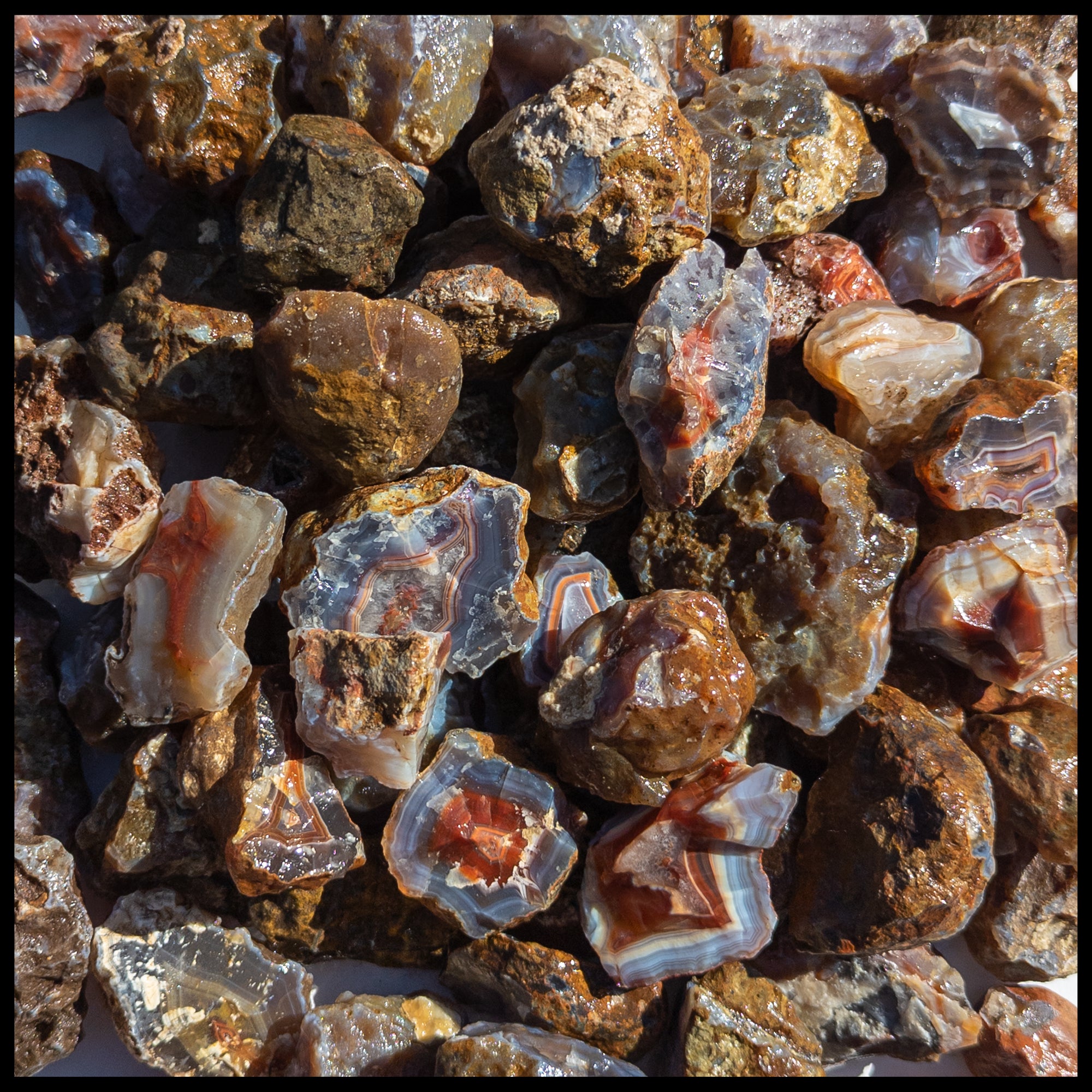Malawi Agate, Rough Rock, per lb| The Gem Shop, Inc.