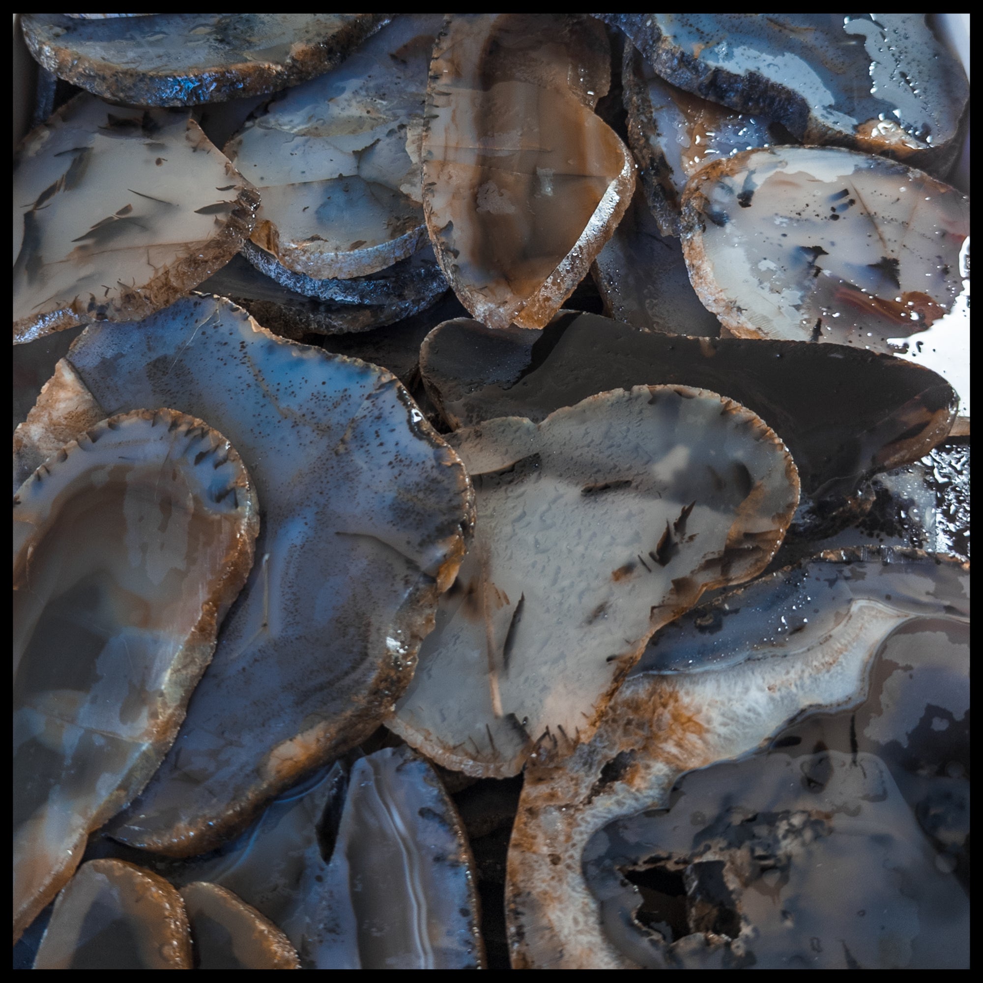 Montana Moss Agate Slabs - 1 lb lot| The Gem Shop, Inc.