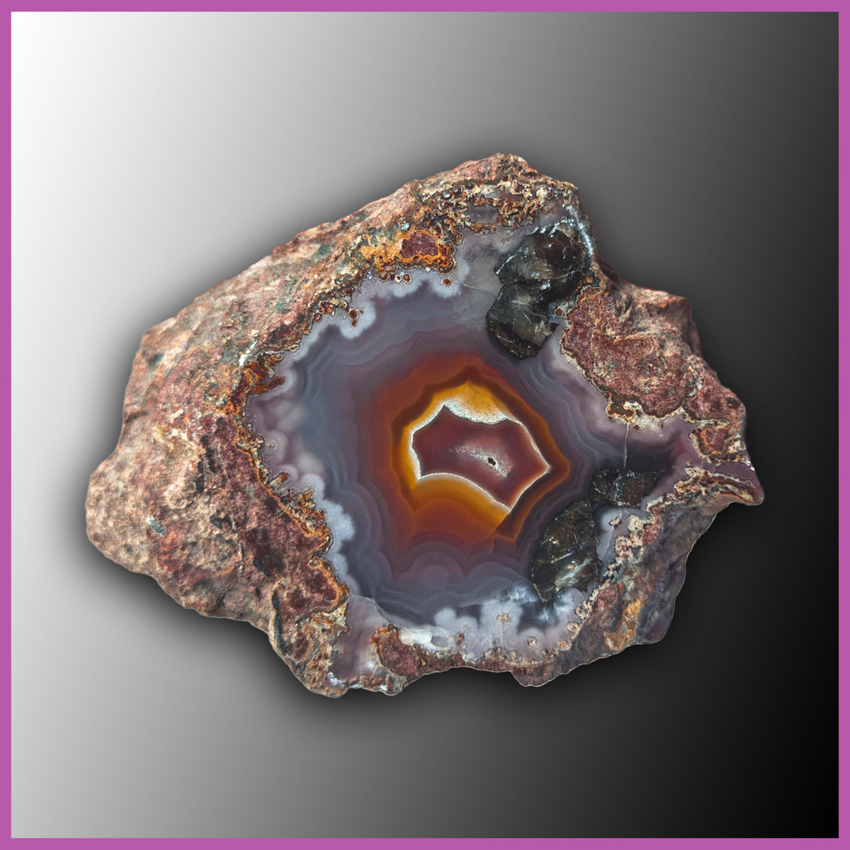 AGN497 Agua Nueva Agate Specimen| The Gem Shop, Inc.