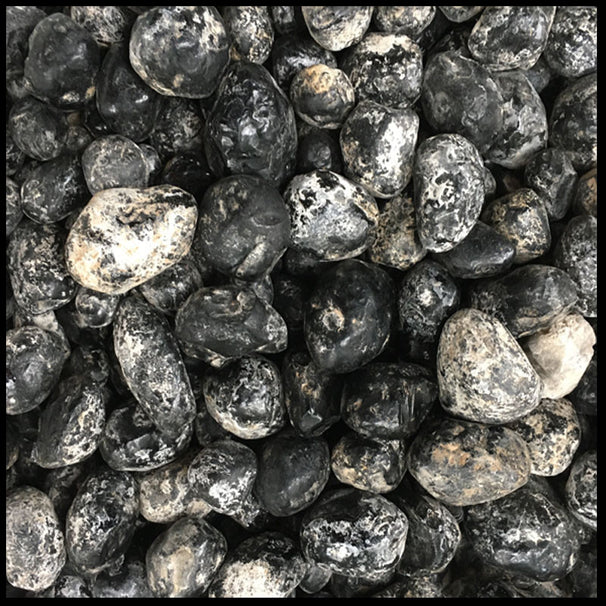 Tumbling Rough| The Gem Shop, Inc.