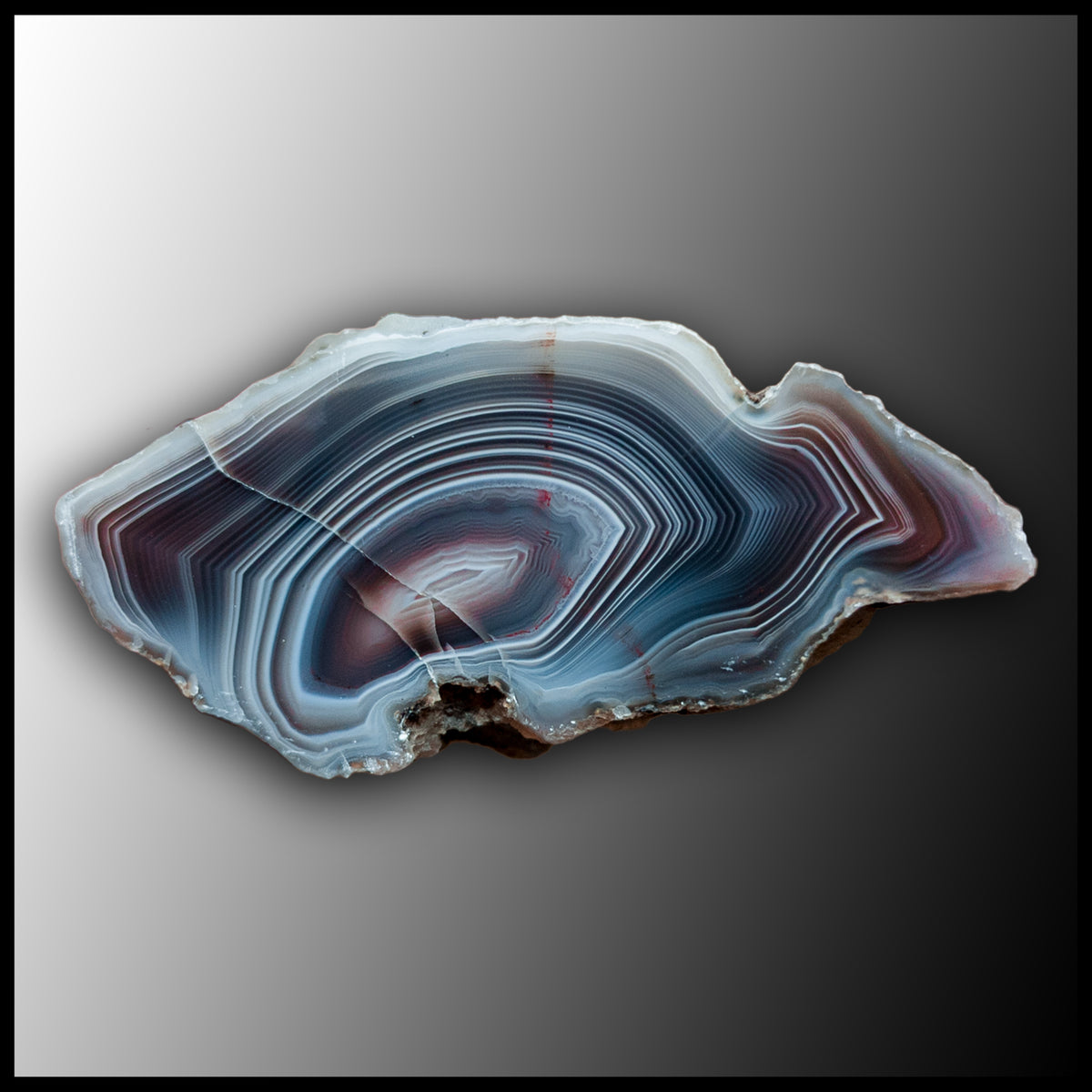 BOT319 Botswana Agate Specimen| The Gem Shop, Inc.