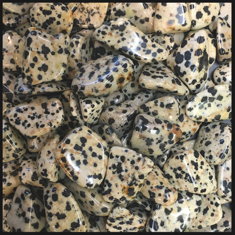 Dalmatian Stone, Tumbled Stone, Individual| The Gem Shop, Inc.