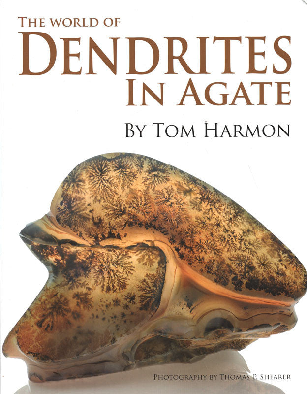 World of Dendrites in Agate, The| The Gem Shop, Inc.