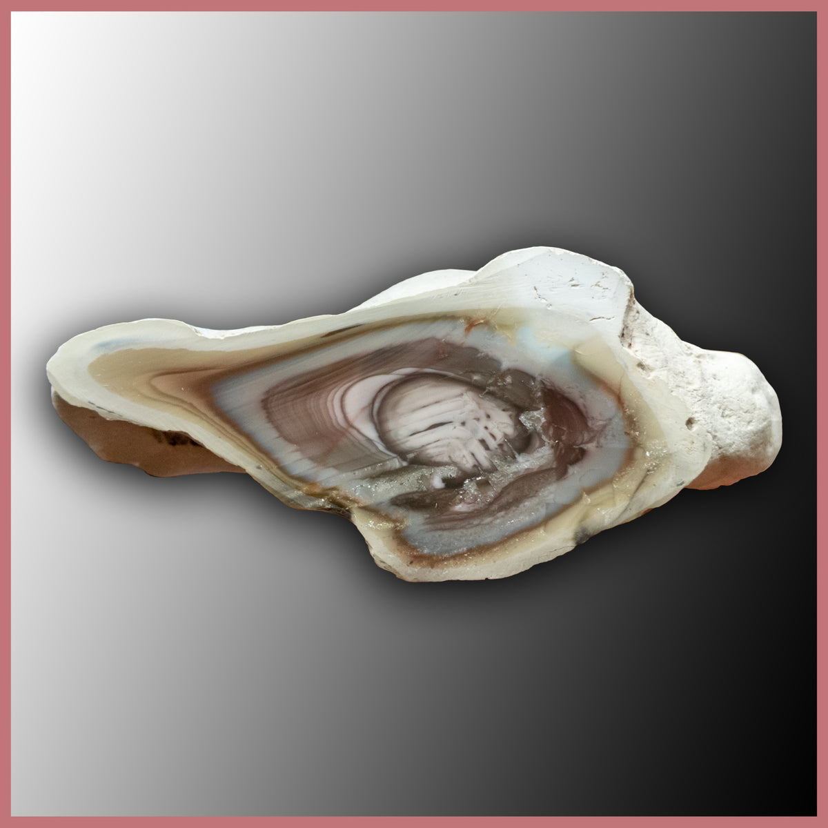 IMP460 Royal Imperial Jasper Specimen| The Gem Shop, Inc.