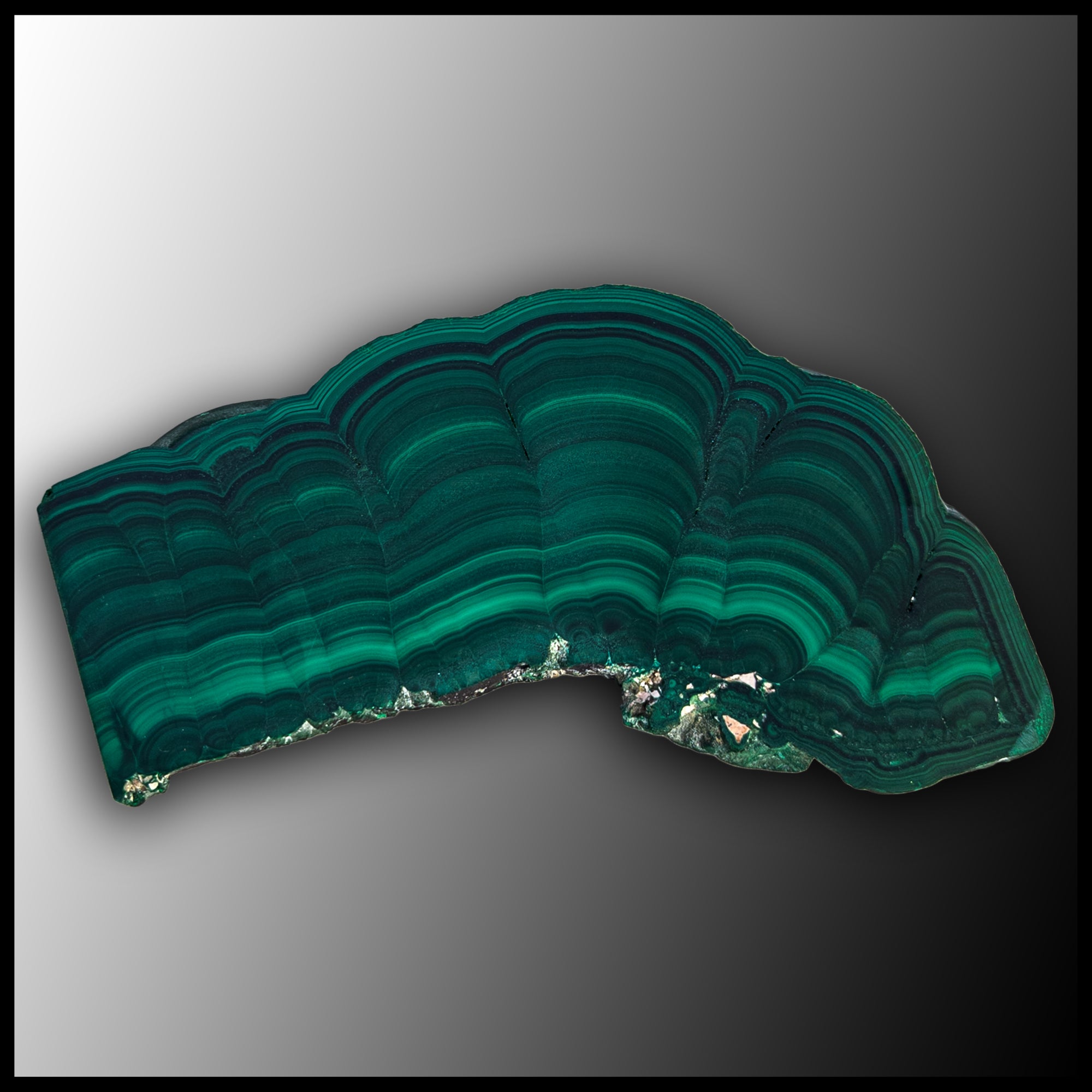 MAL208 Malachite Slab| The Gem Shop, Inc.